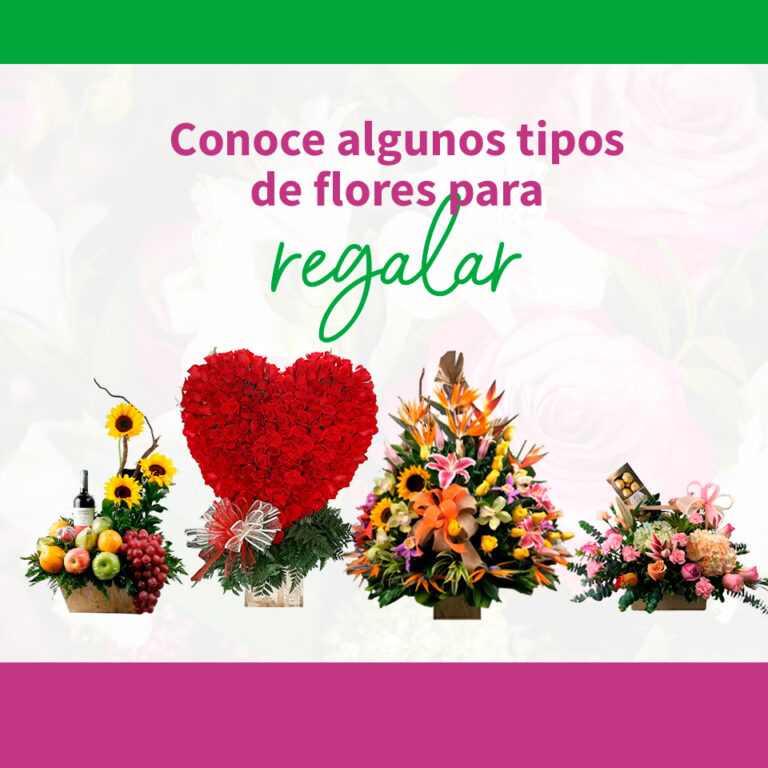 Flores para regalar | Arreglos florales | Envío a domicilio