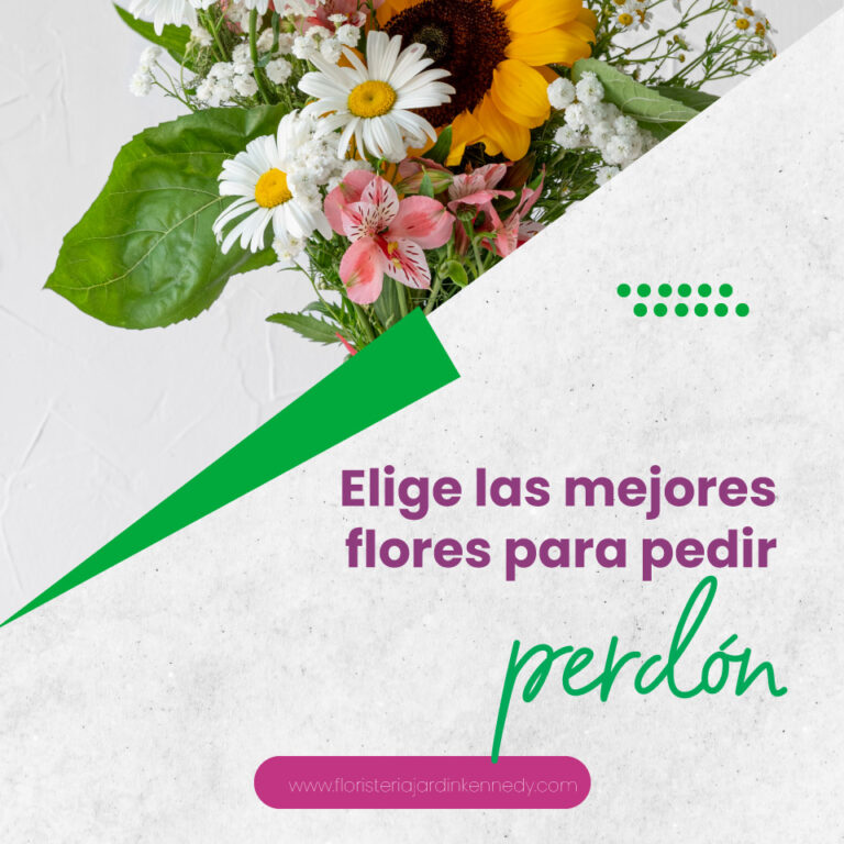 10 tipos de flores para pedir perdón